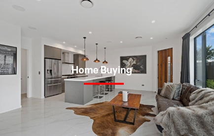 Brand New Real Estate Auckland & Christchurch, NZ | Williams Corp